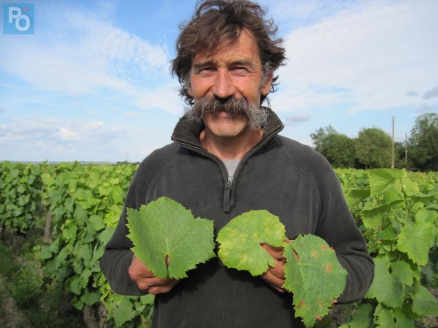 Jo Landron, vigneron en biodynamie dans le vignoble Nantais